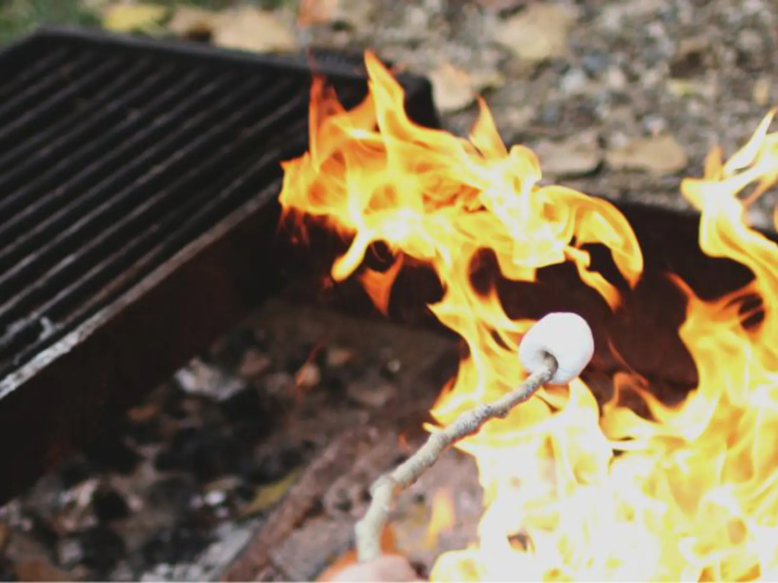 Fire Services | City of Medicine Hat